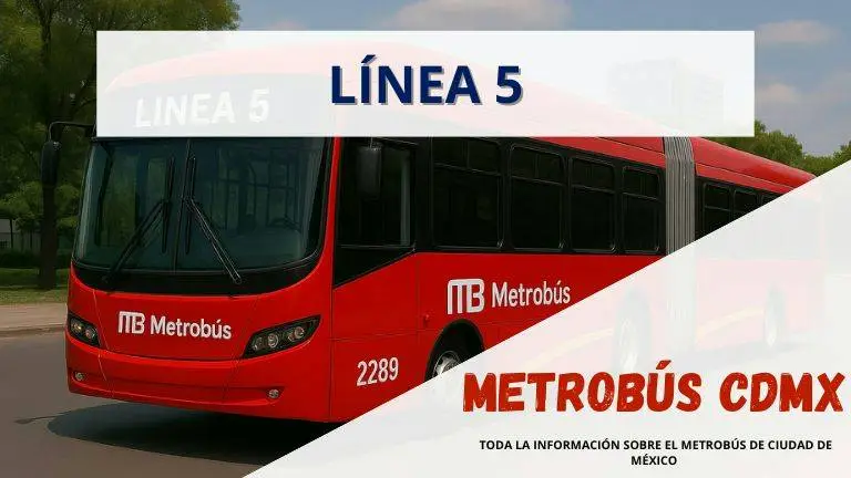 Línea 5 del Metrobús CDMX: Recorrido y Conexiones ️