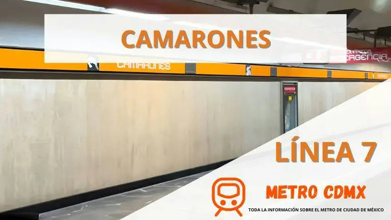 Metro Camarones: Línea 7, Profundidad y Mapa 🚇 ️